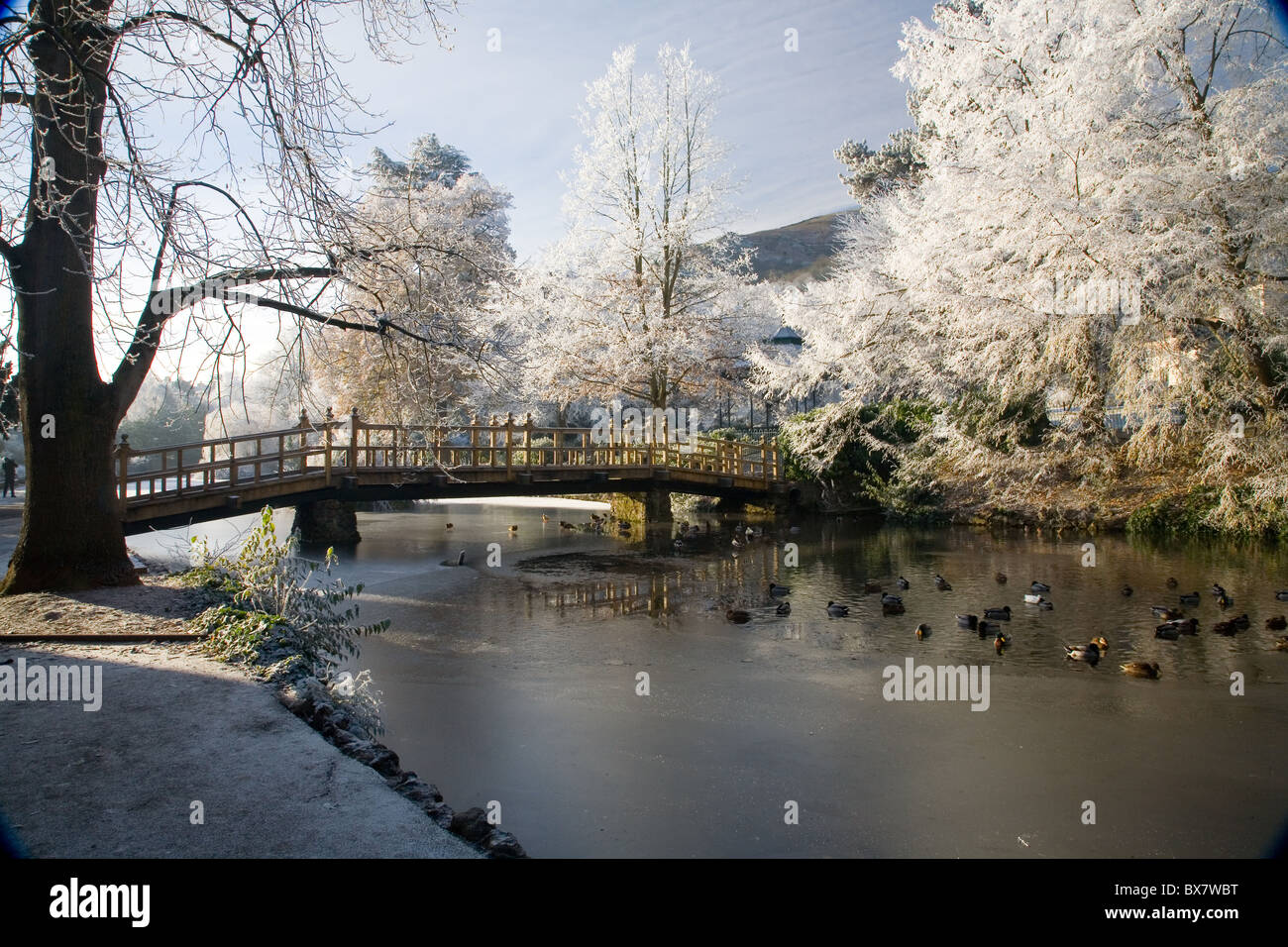 The lake and bridge in the Winter Gardens at Great Malvern ...