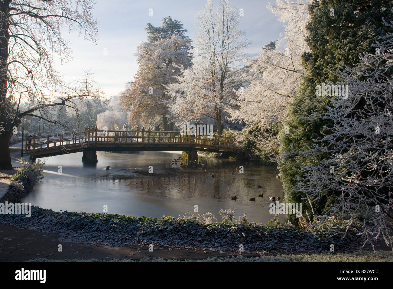 Winter gardens great malvern worcestershire hi-res stock photography ...