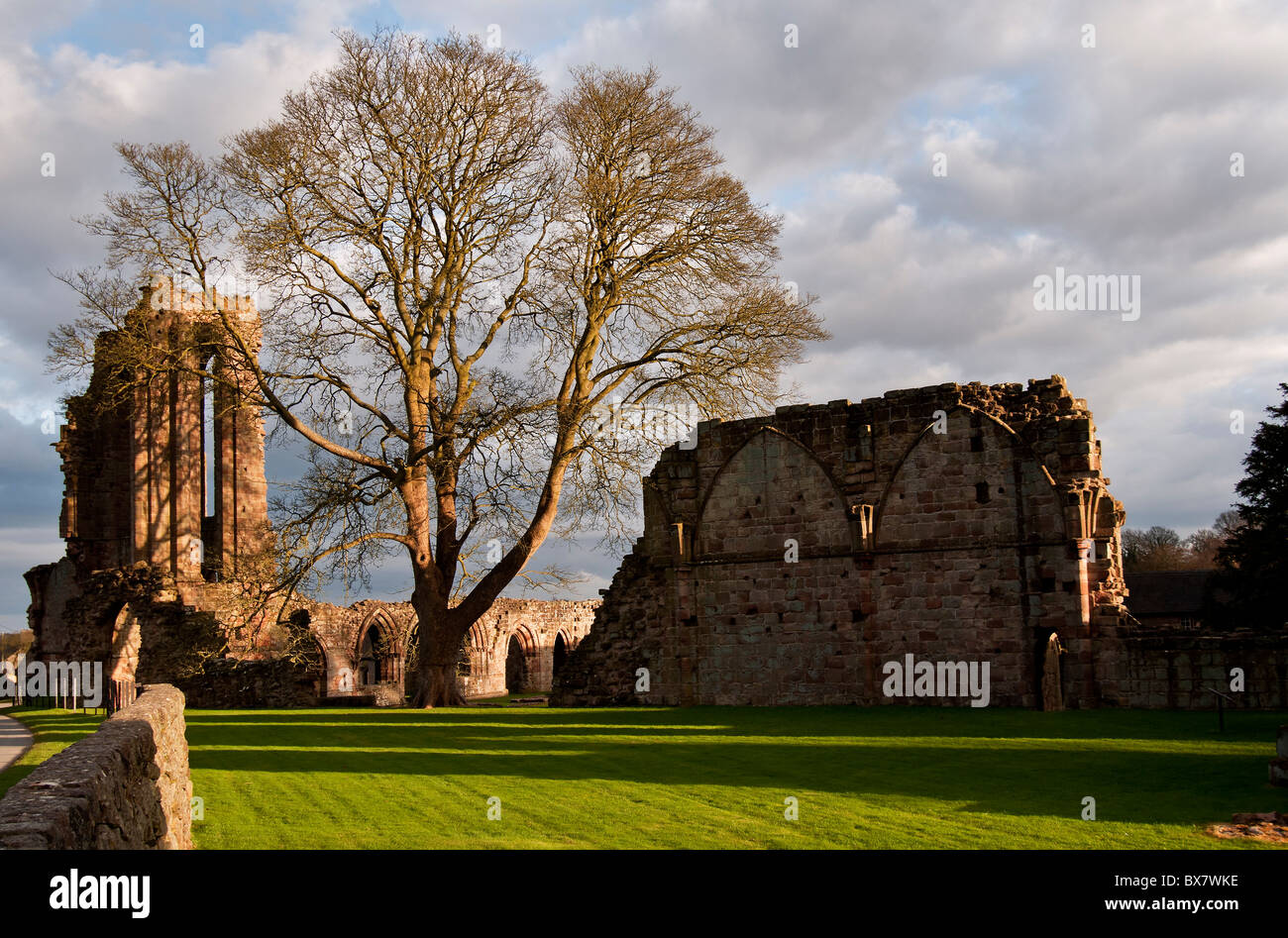 Croxden Abbey south wall in early spring Stock Photo - Alamy