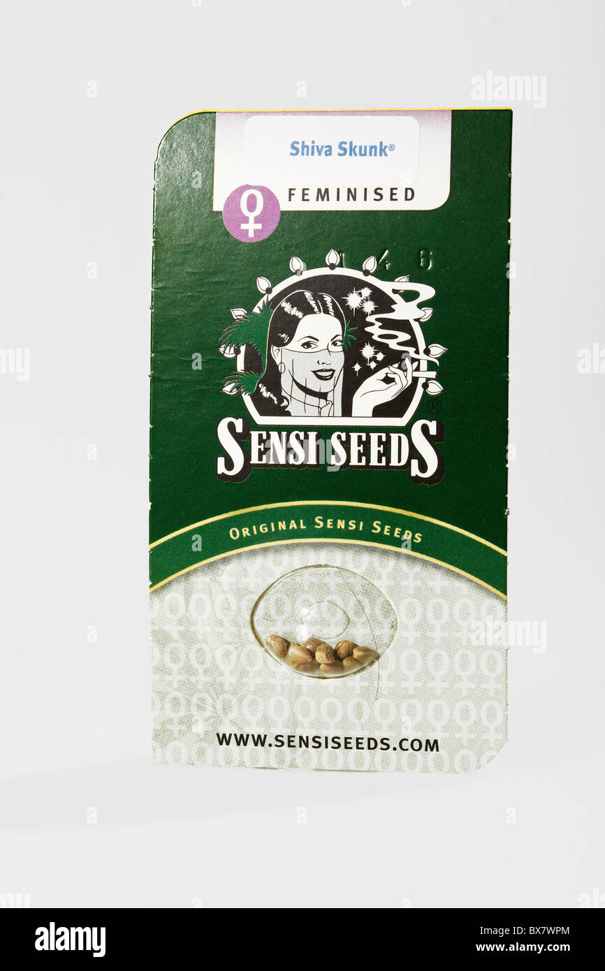 Sensi Seeds, Cannabis seeds sold in Amsterdam, the Netherlands Stock ...