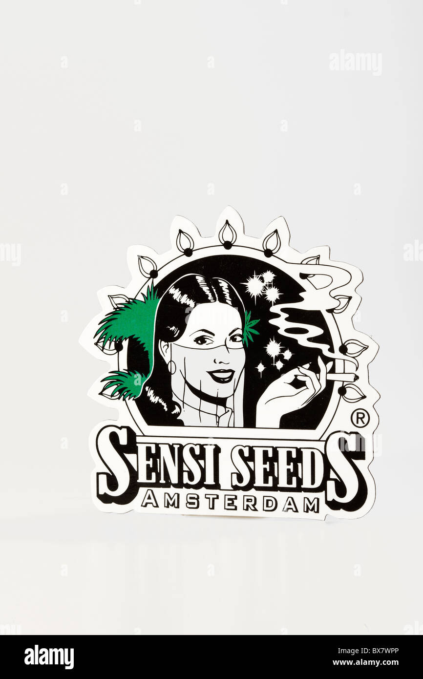 Sensi Seeds, Cannabis seeds sold in Amsterdam, the Netherlands Stock ...