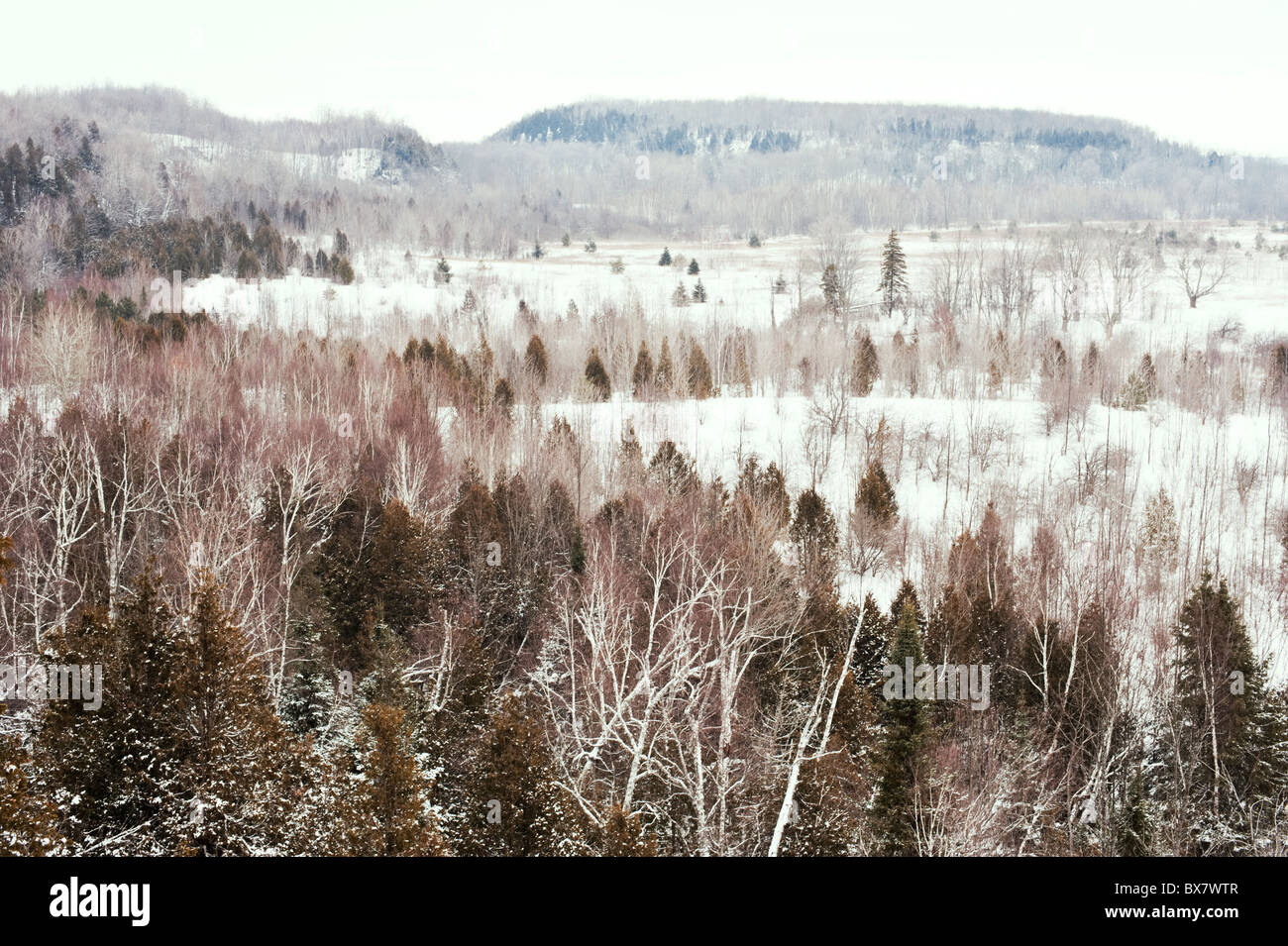 The Niagara escarpment marks the horizon of a mixed forest near Mono ...