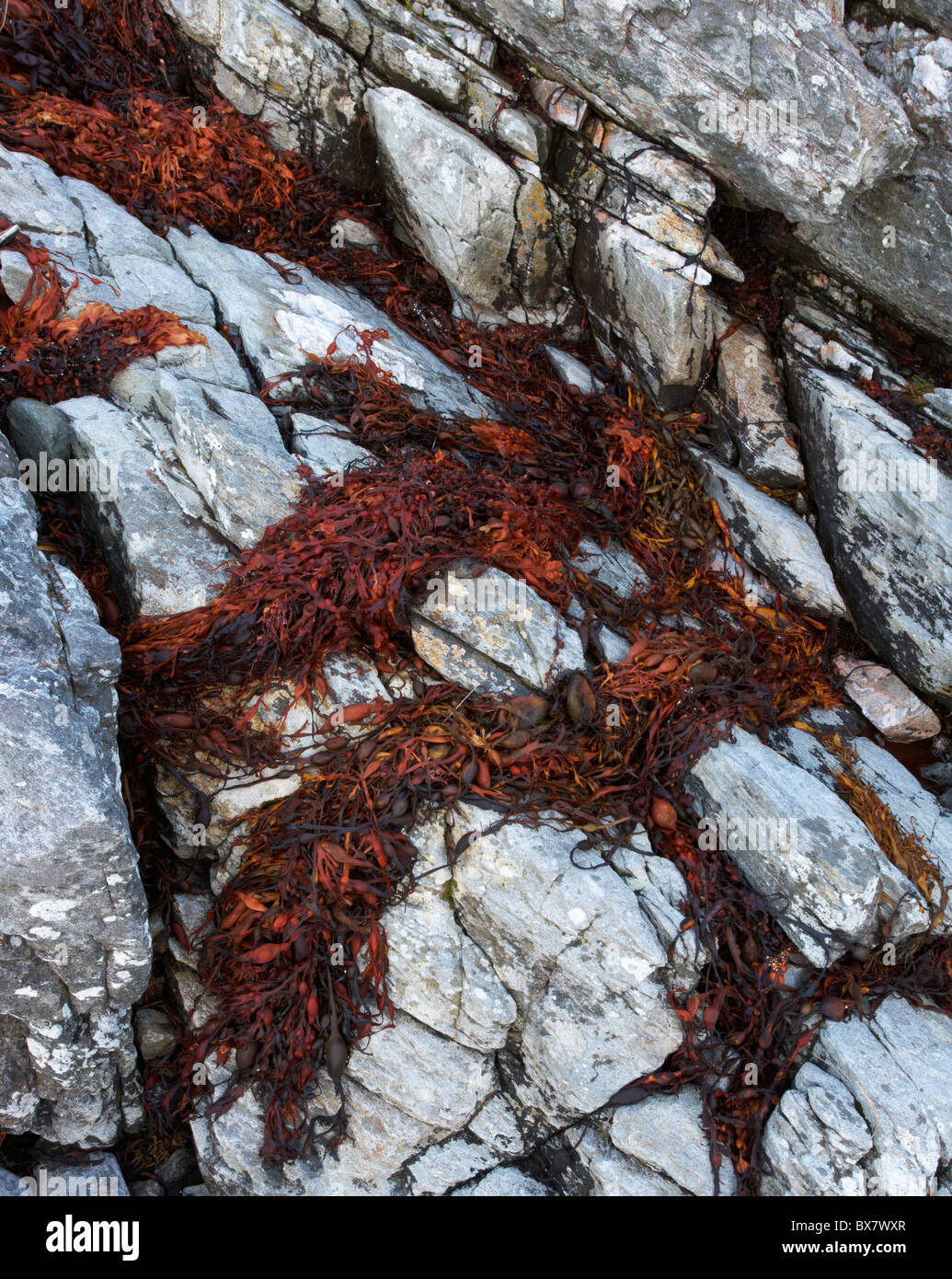 Shoreline study at Loch Hourn on the Glenelg peninsula of the Scottish ...