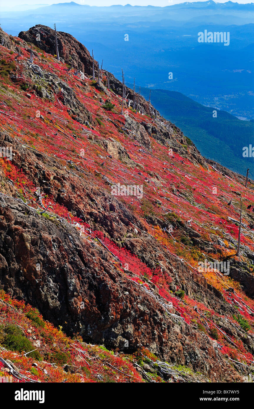 Sub alpine hi-res stock photography and images - Alamy