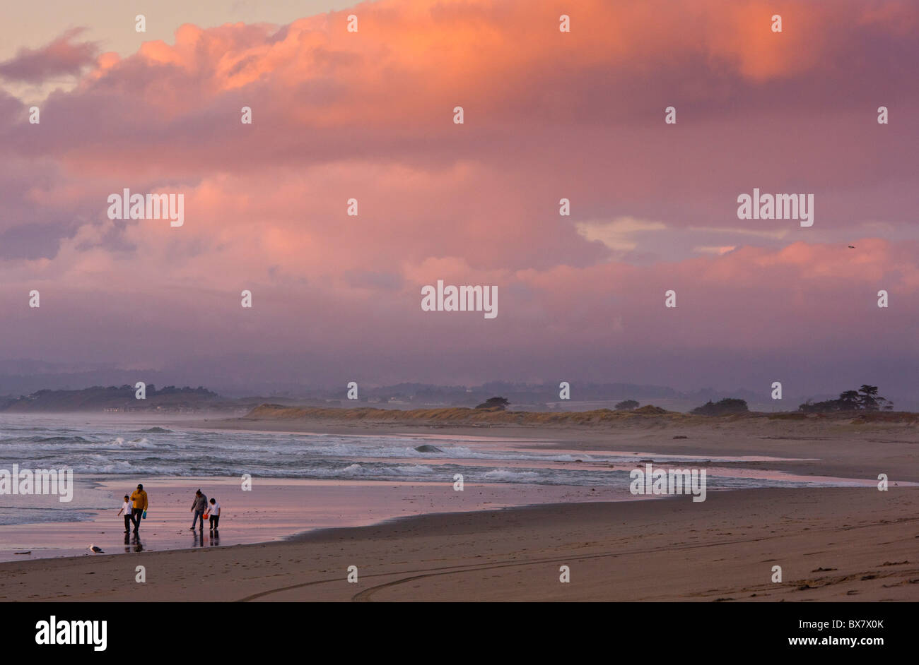 Moss Landing High Resolution Stock Photography and Images - Alamy