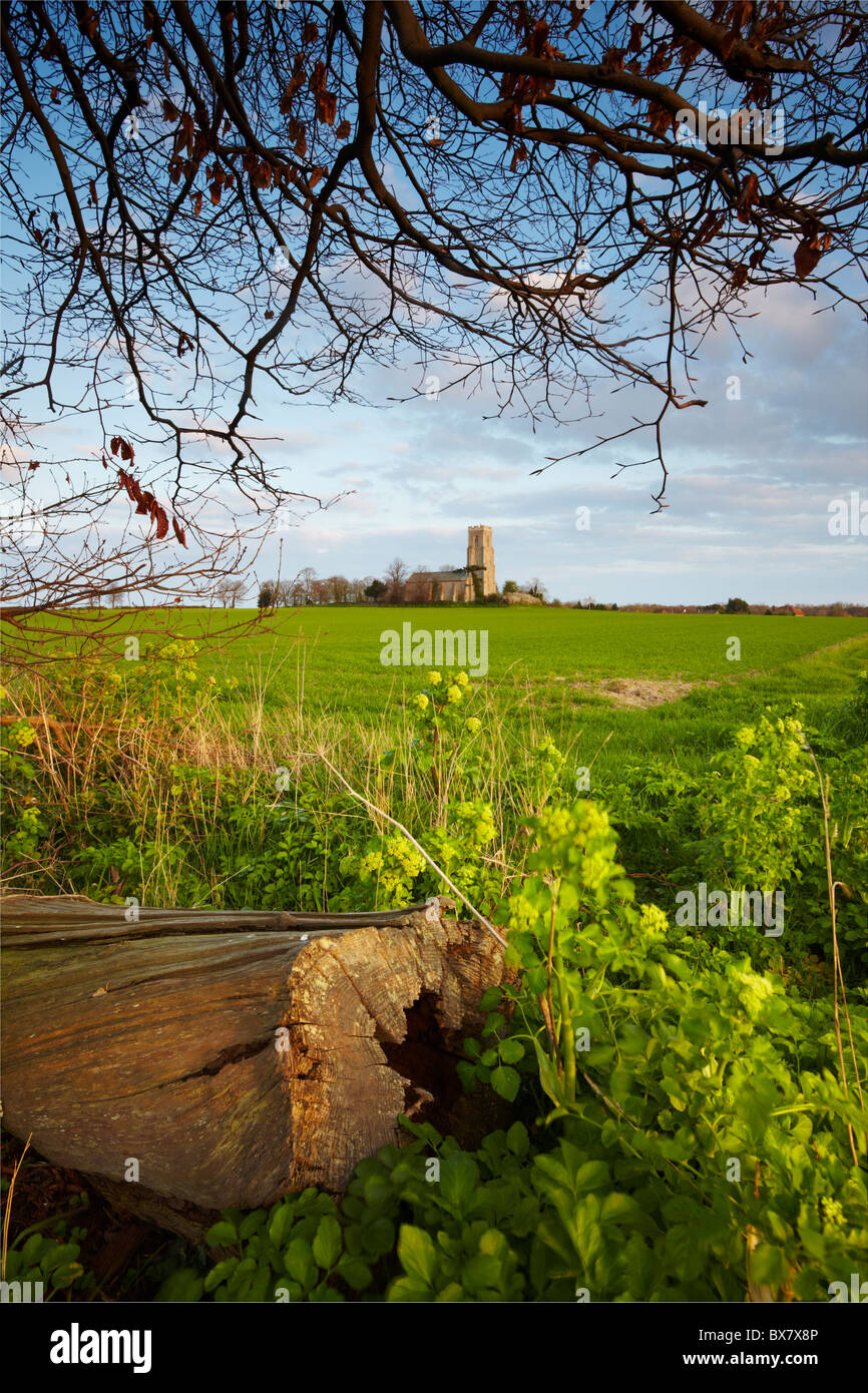 Honing norfolk hi-res stock photography and images - Alamy