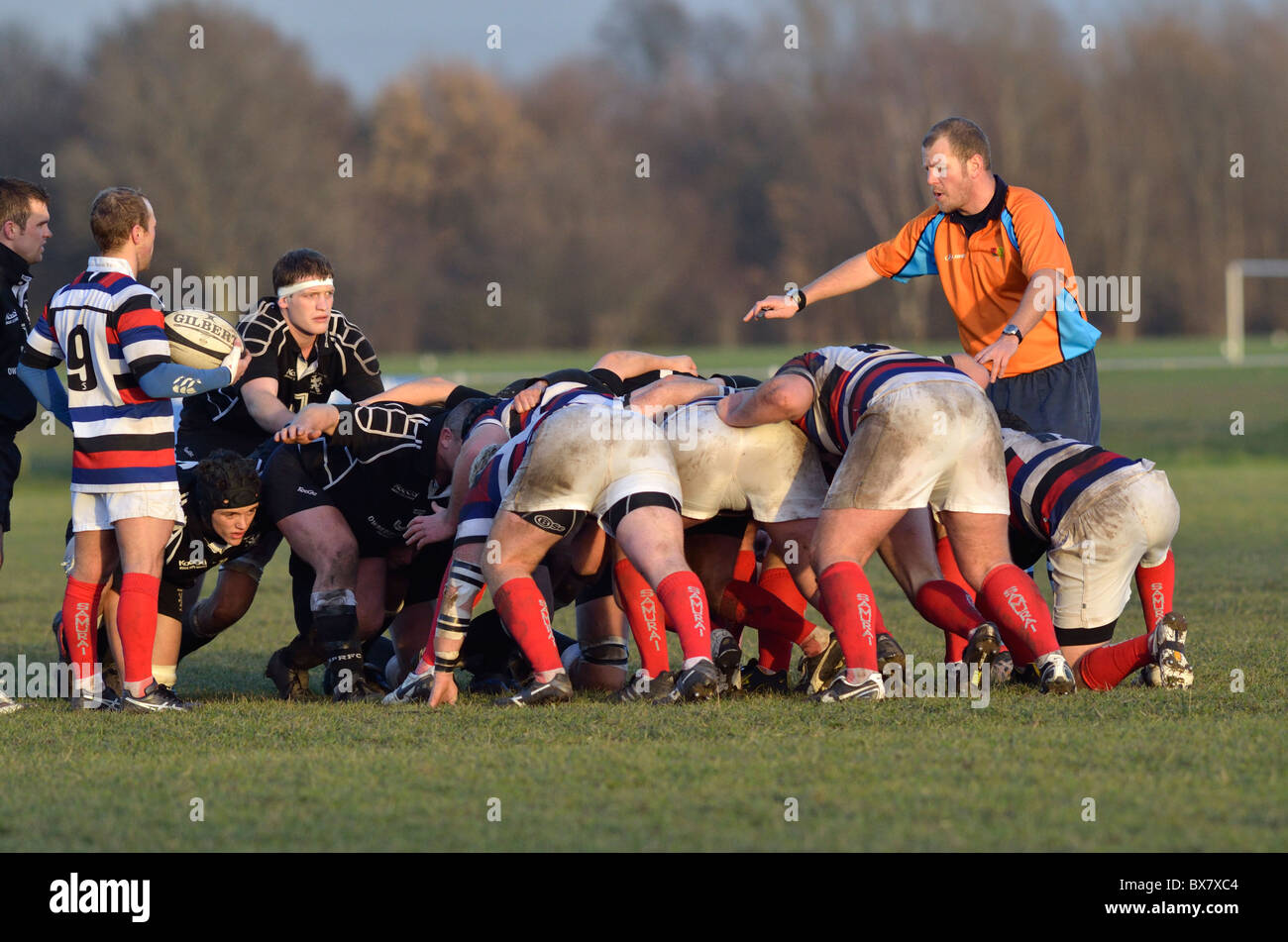Referee and scrum hi-res stock photography and images - Alamy