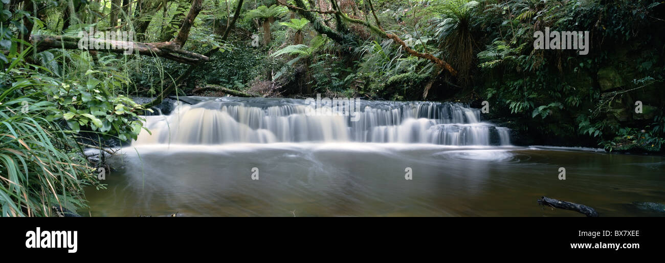 Panoramic view on wide jungle small waterfall Stock Photo - Alamy