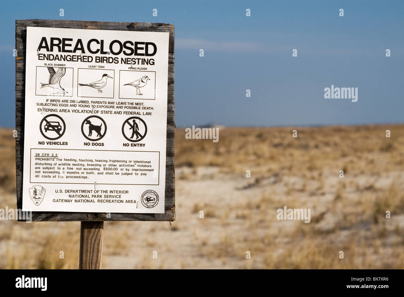 Warning sign on beach for endangered birds Stock Photo - Alamy