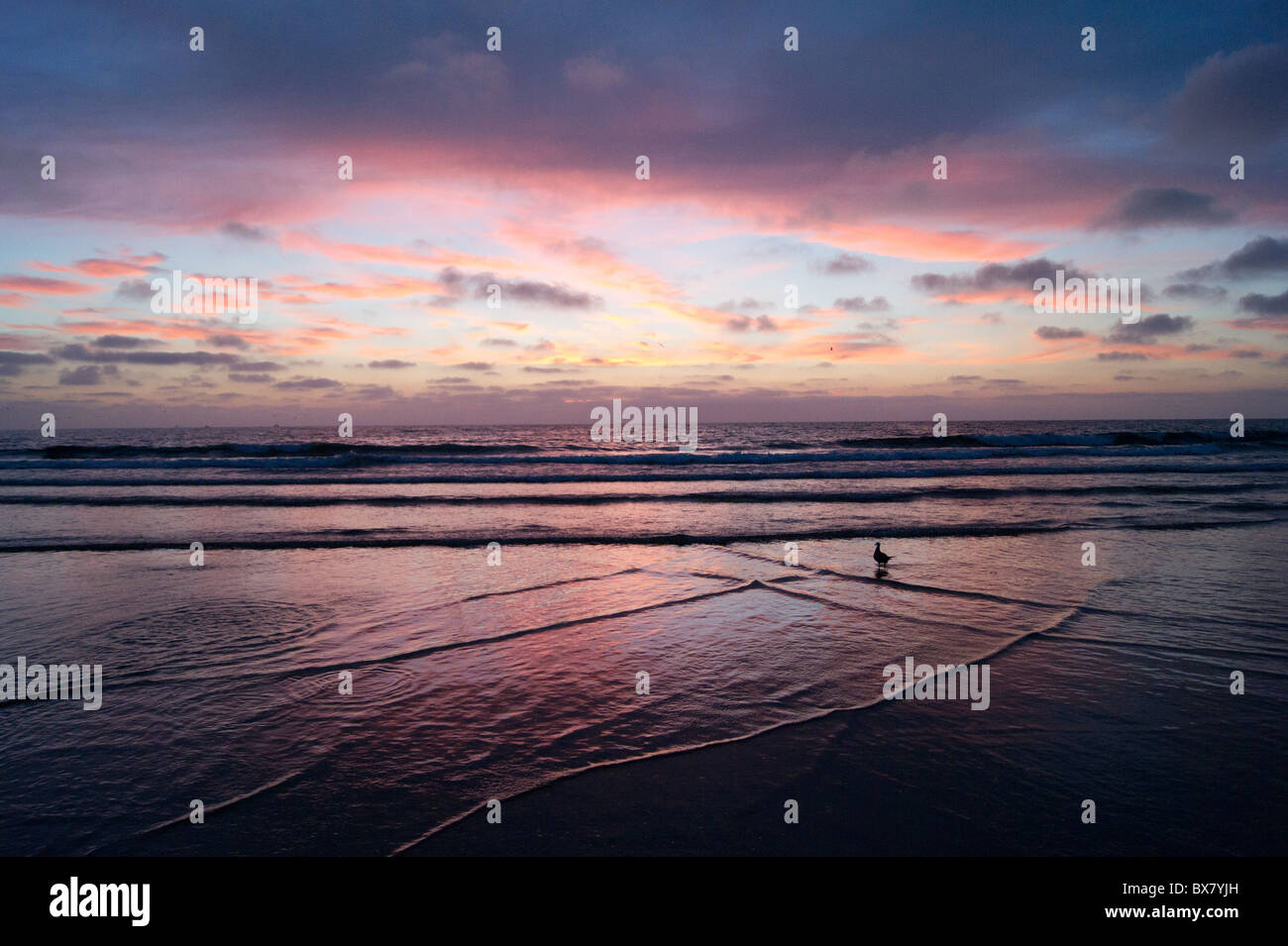Sunset at ocean beach San-Diego California Stock Photo - Alamy
