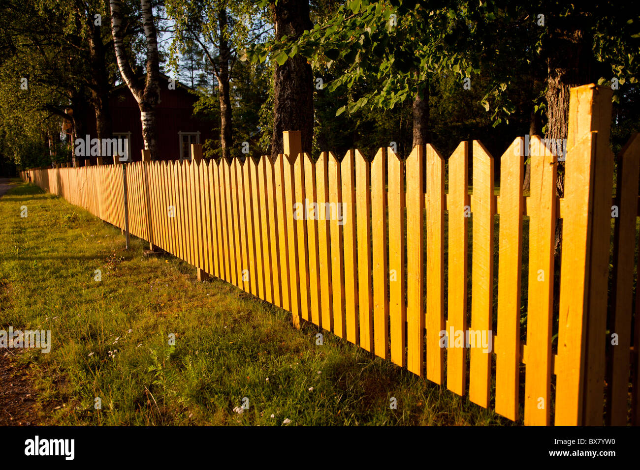 Long yellow picket fence at evening light , Finland Stock Photo - Alamy