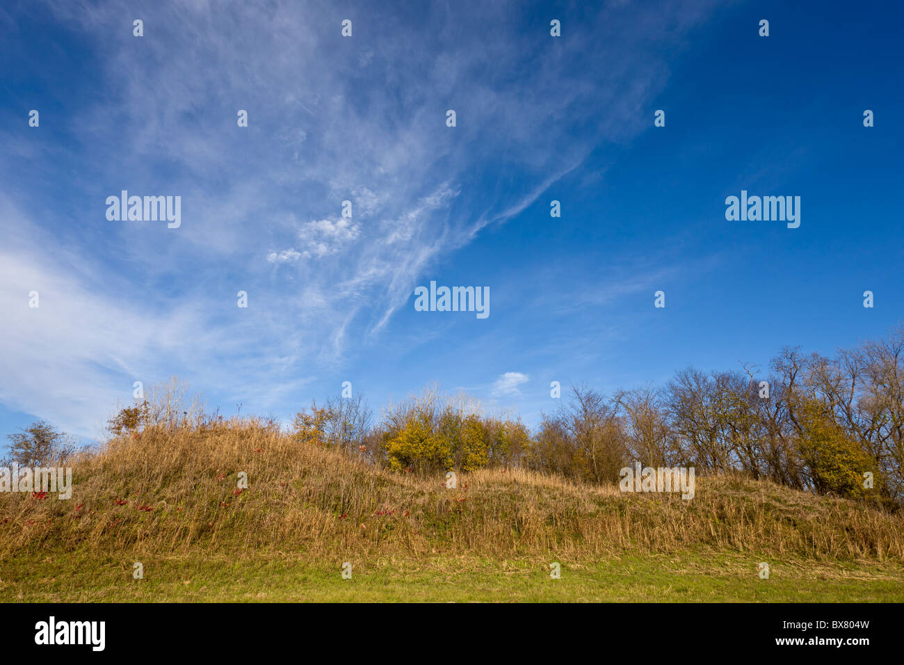 Caddoan mounds hi-res stock photography and images - Alamy