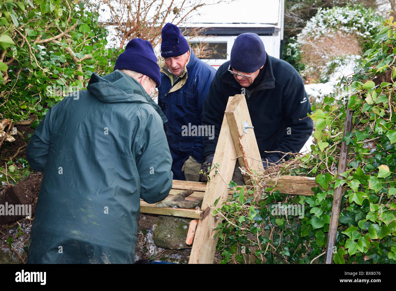UK, Britain. Ynys Mon Ramblers footpath volunteers building a ladder ...