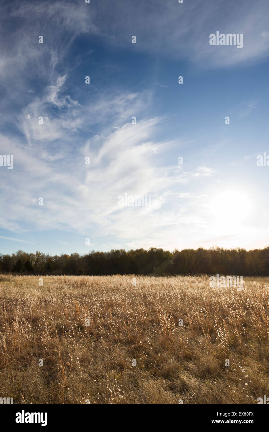 Hazy sun over field of wild grass and cloudy blue sky at Spiro Mounds ...