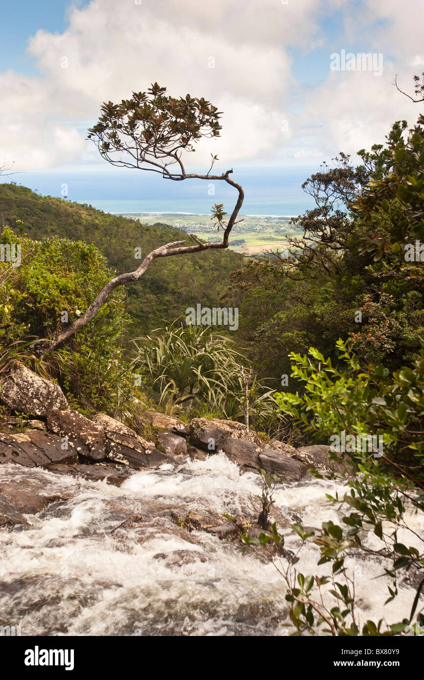 Black River Gorges National Park Viewpoint Mauritius Stock Photo - Alamy