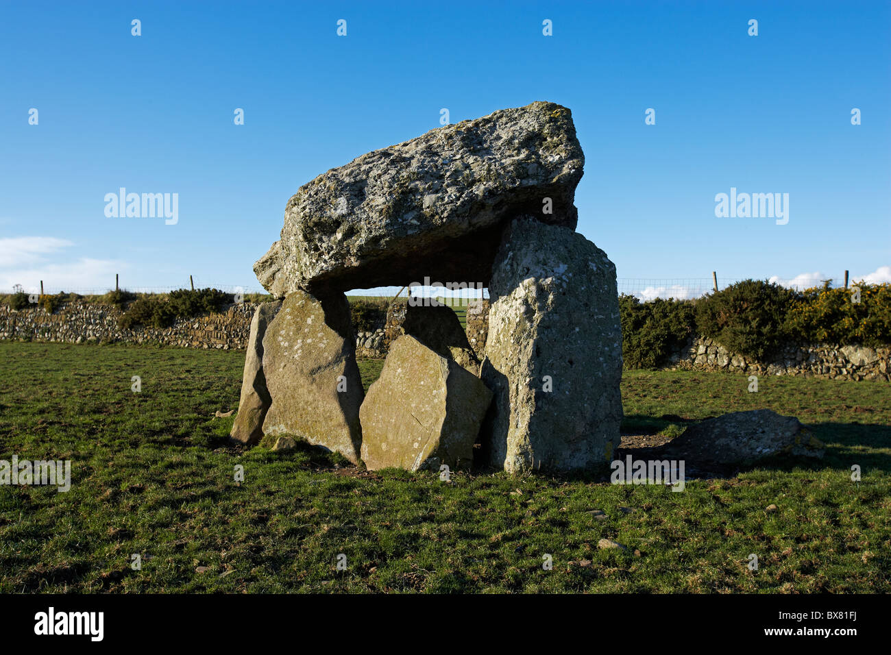 Carreg Samson, Neolithic Burial Chamber, Abercastle, Pembrokeshire ...