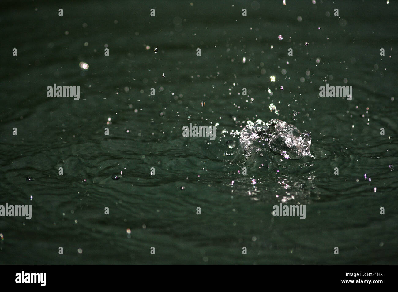 Water Droplets splashing into the pool at night Stock Photo - Alamy