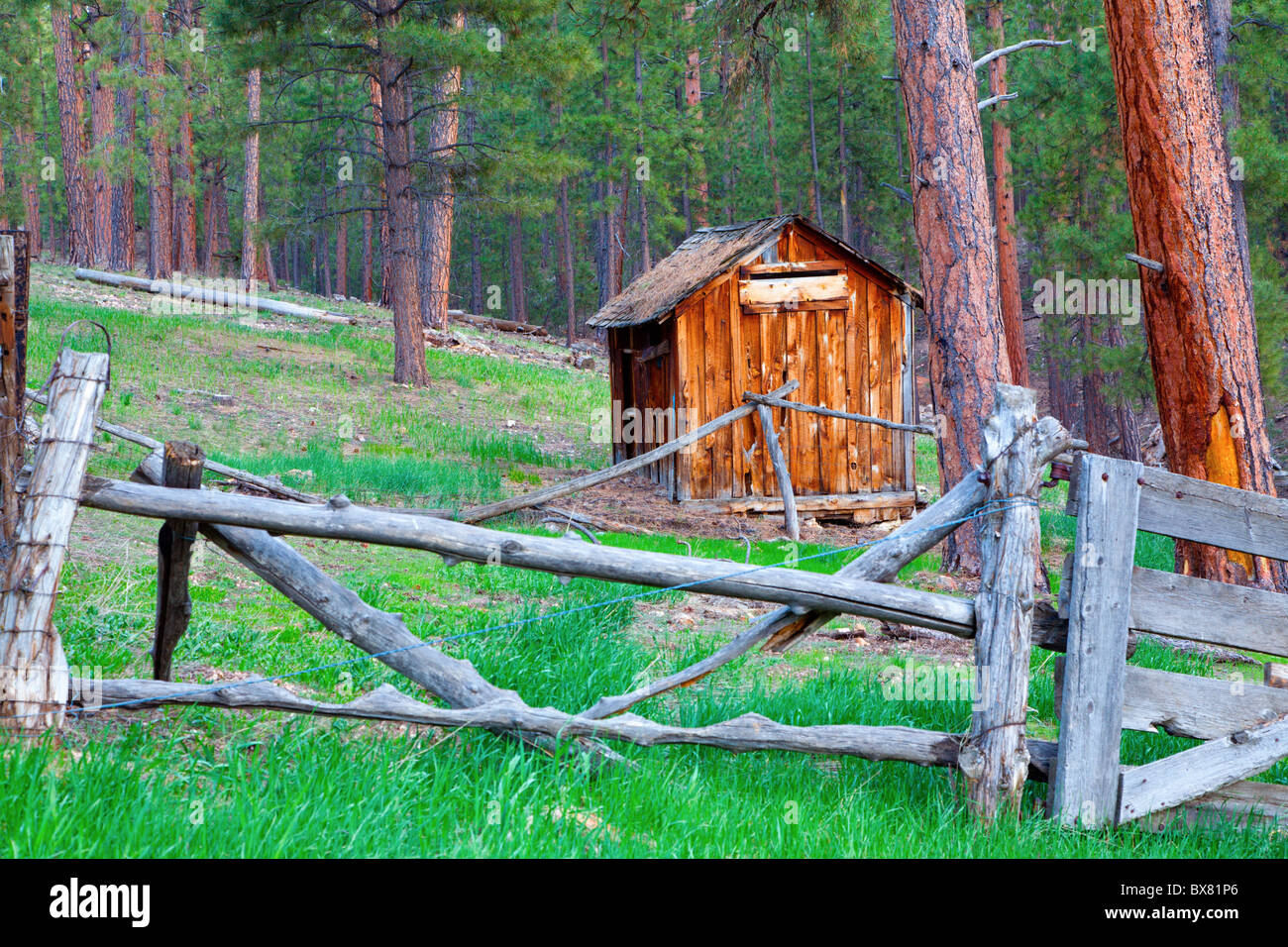 Old shack hi-res stock photography and images - Alamy