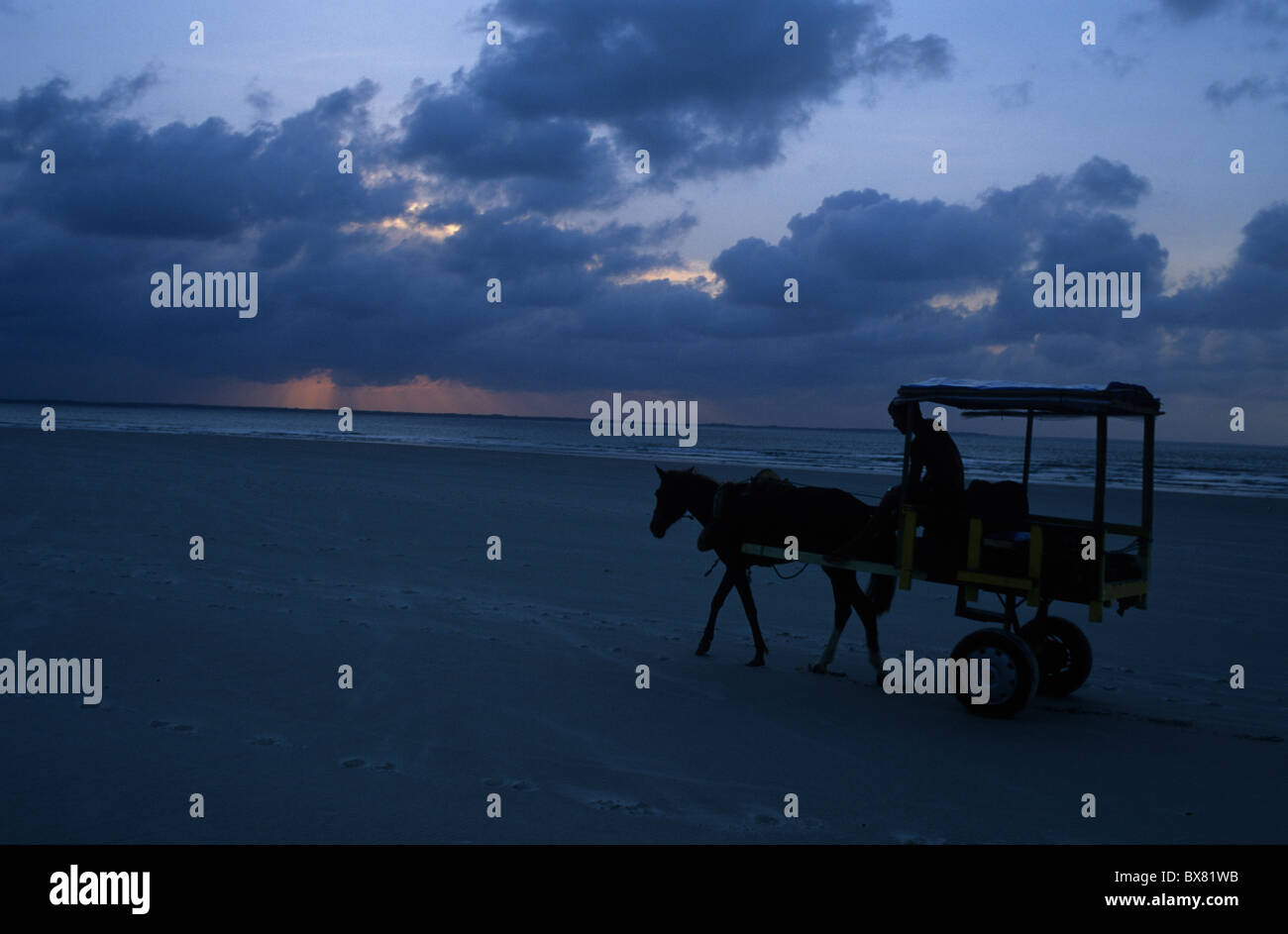 Cart on the beach.ALGODOAL ISLAND State of Pará. BRAZIL (Amazon Stock ...