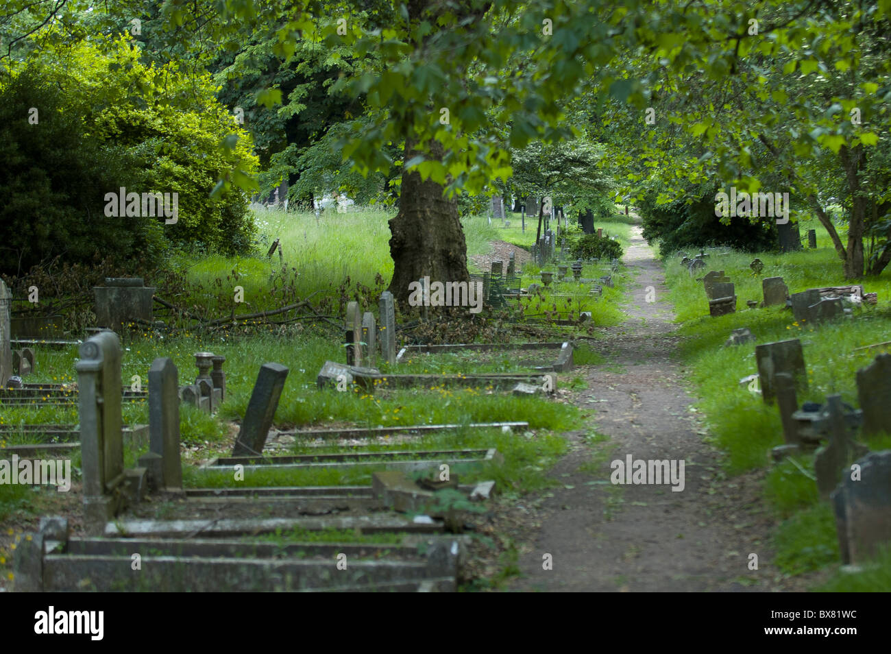 Victorian London Cemeteries