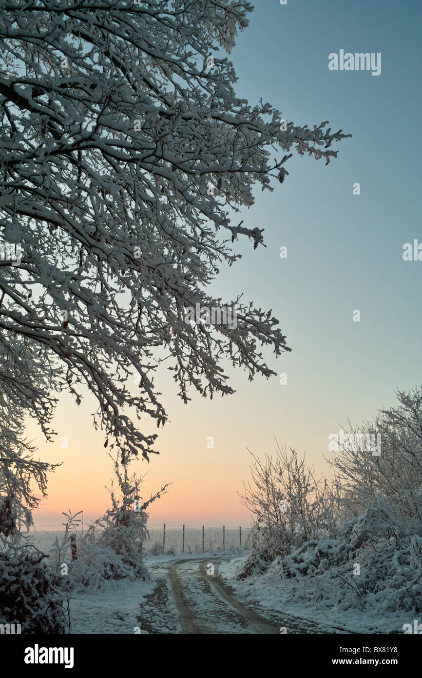 Winter landscape with road at sunset Stock Photo - Alamy