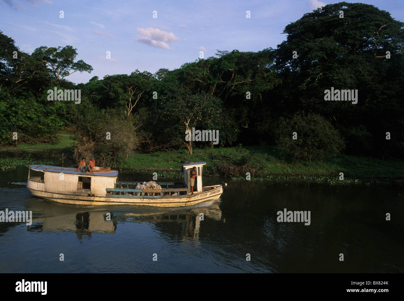 Boat transporting animals hi-res stock photography and images - Alamy