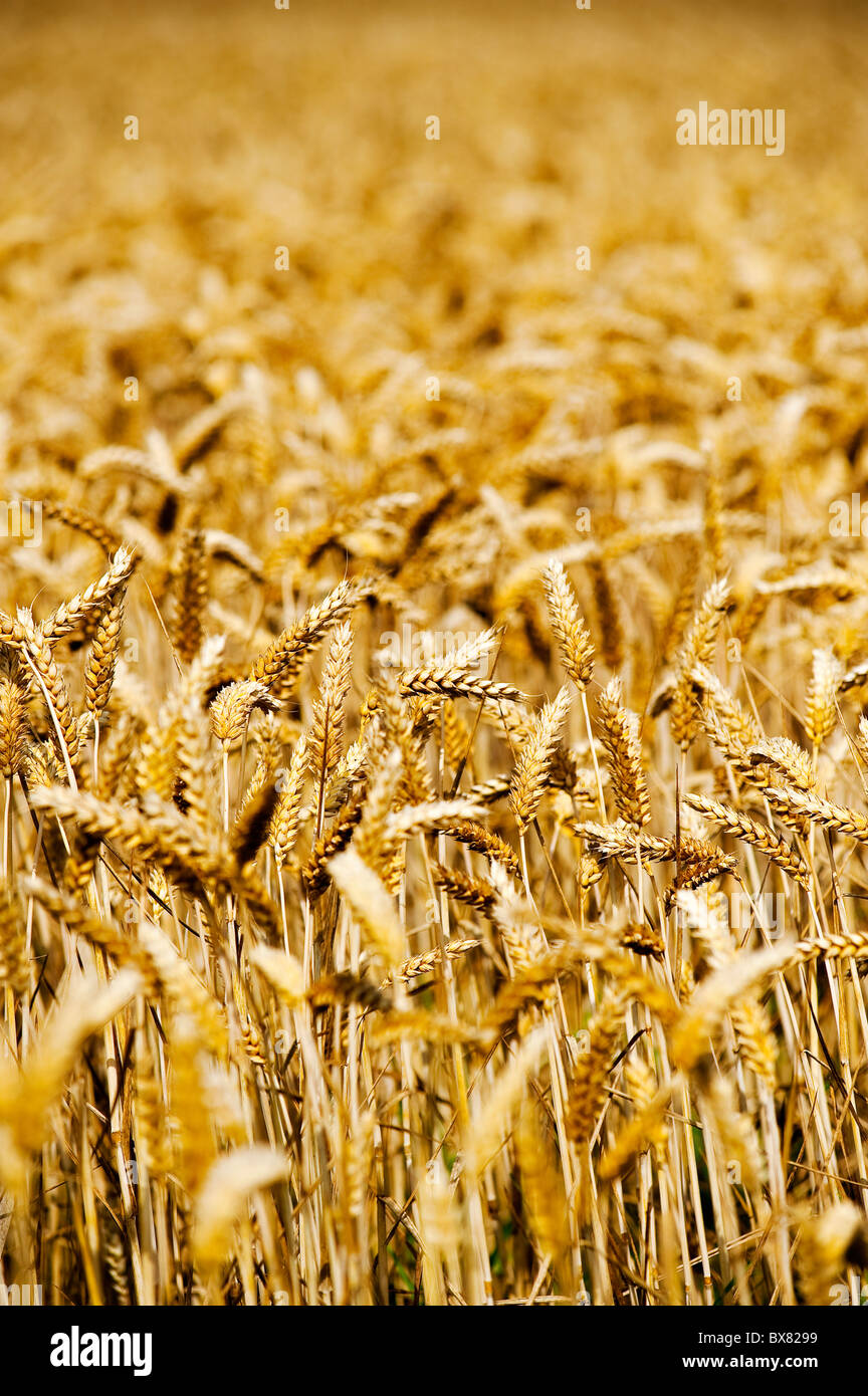 Planet earth from space sunshine hi-res stock photography and images ...