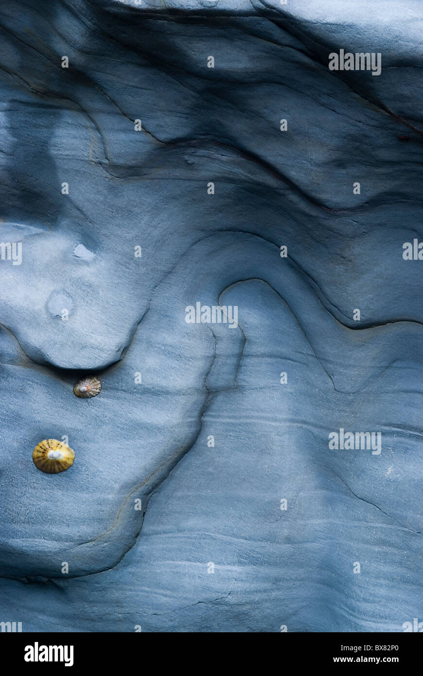 Beautifully smooth curving blue rock formations shells and boulders ...