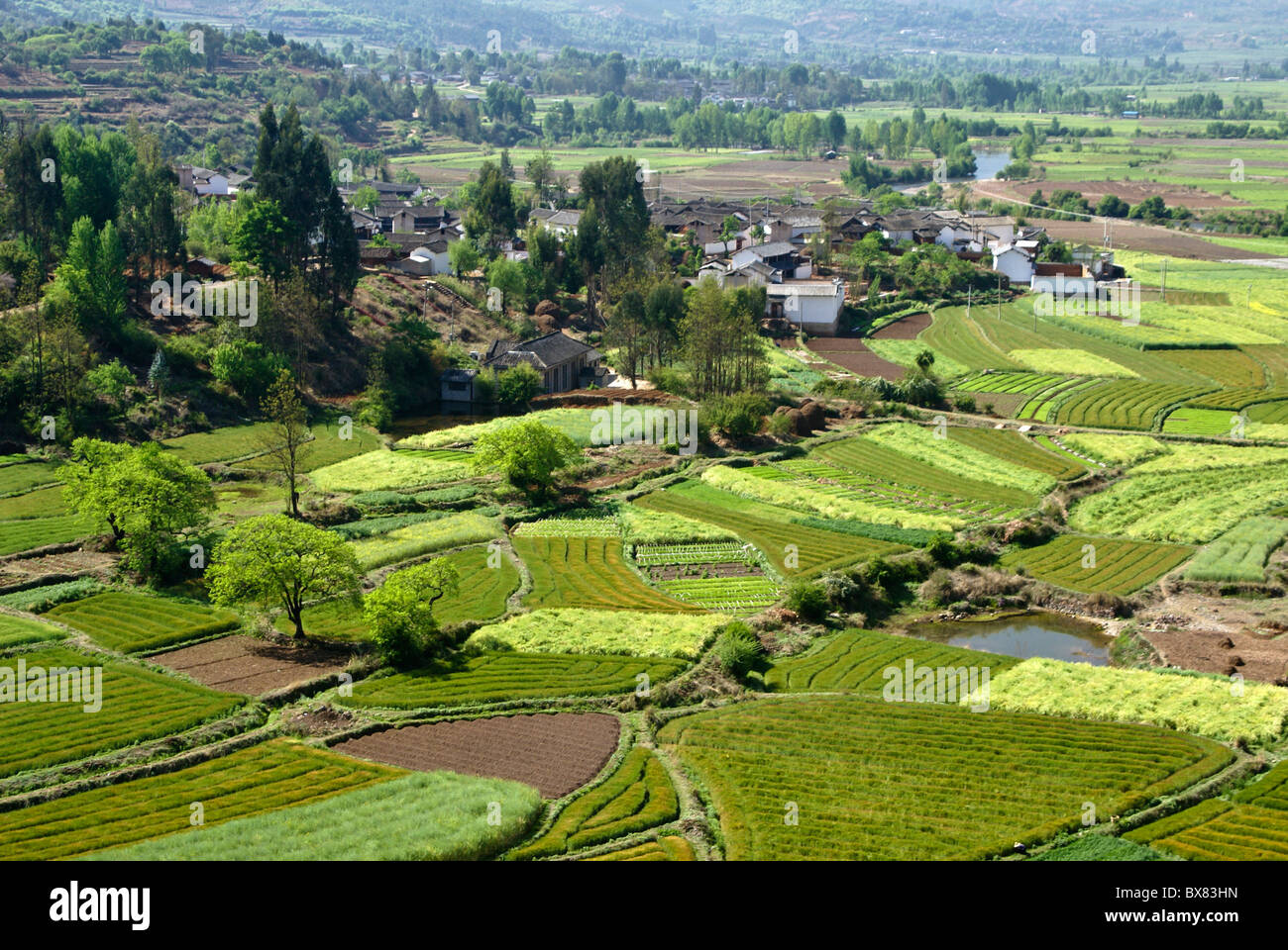Village and agriculture in Shaxi Valley, Jiangsu, China Stock Photo - Alamy