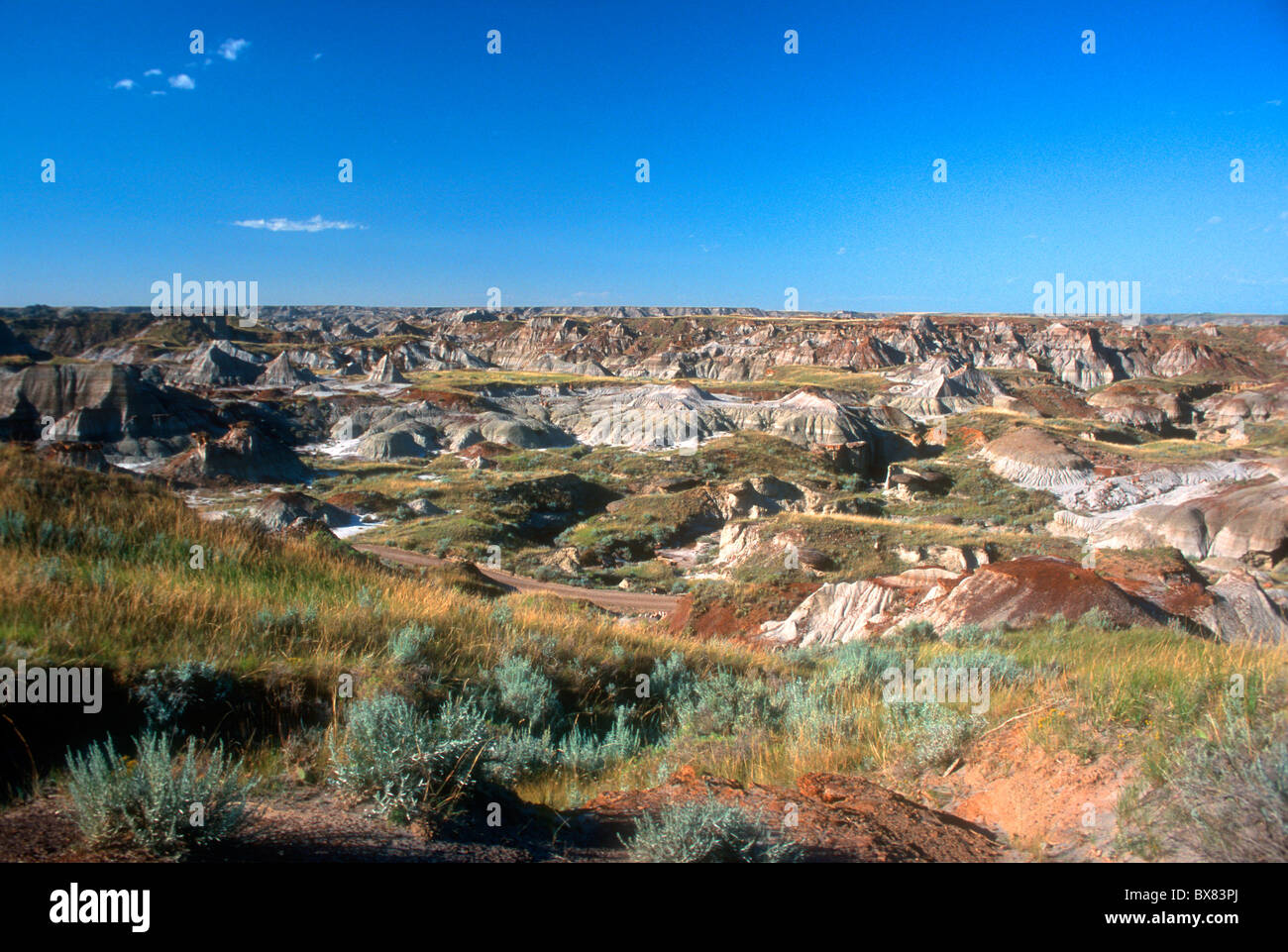 Dinosaur Provincial Park Brooks Alberta Canada Stock Photo - Alamy
