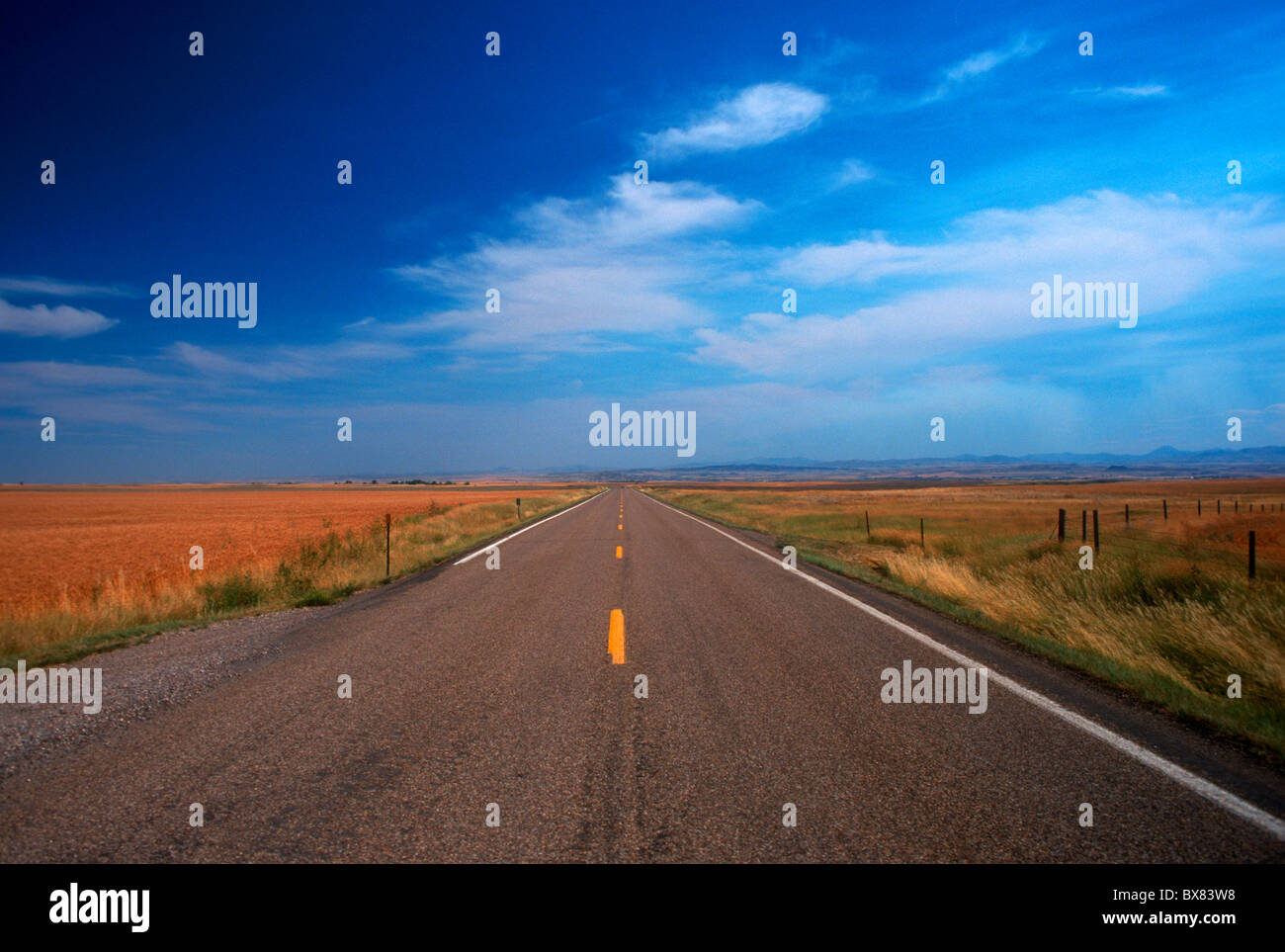Empty country road Stock Photo - Alamy