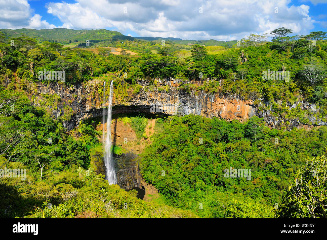 Mauritius rainforest hi-res stock photography and images - Alamy