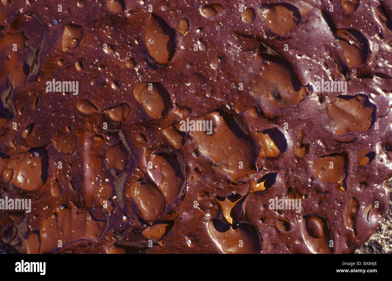 Oil coated rocks hi-res stock photography and images - Alamy