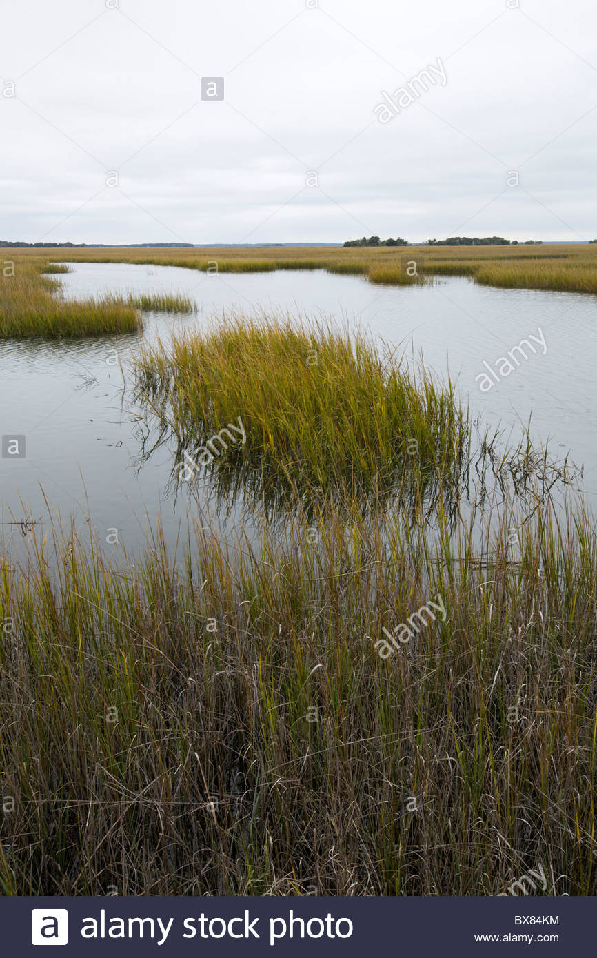 Cumberland Island National Seashore Stock Photos & Cumberland Island ...