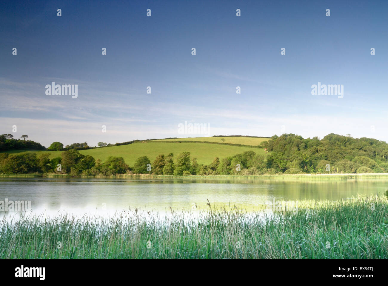 Slapton Ley lagoon, Devon Stock Photo - Alamy