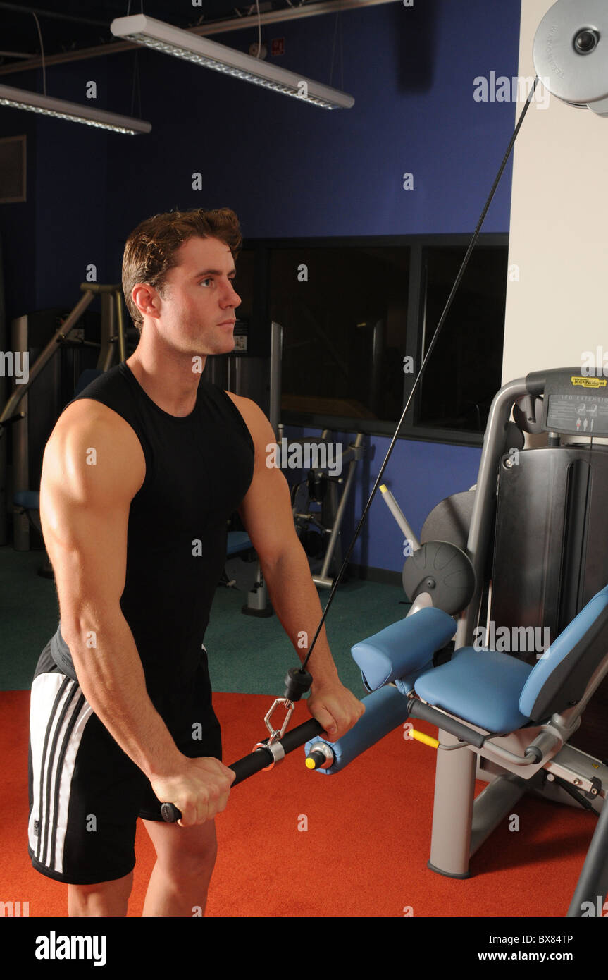 male weight training in gym Stock Photo - Alamy