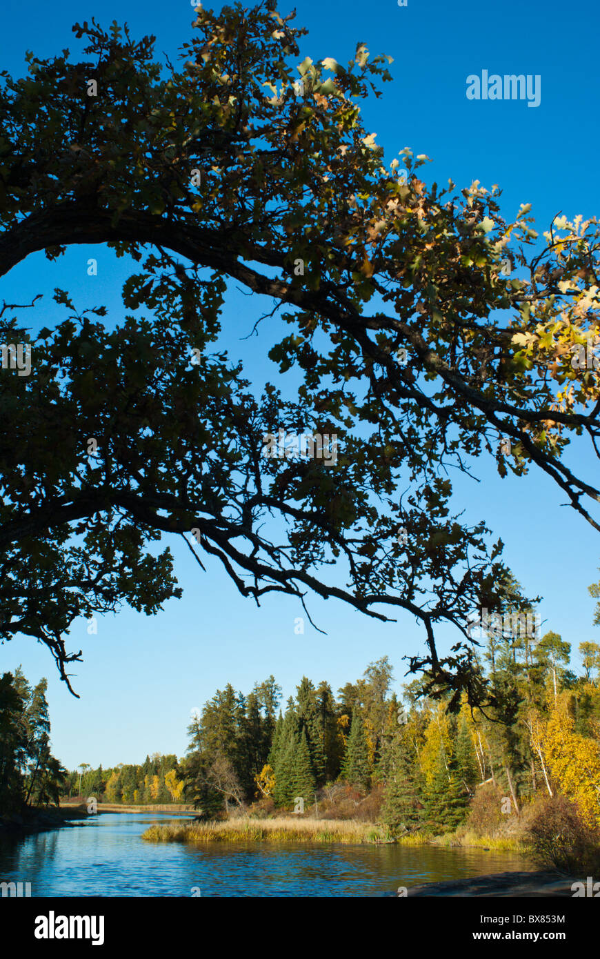 Whiteshell provincial park hiking hi-res stock photography and images ...