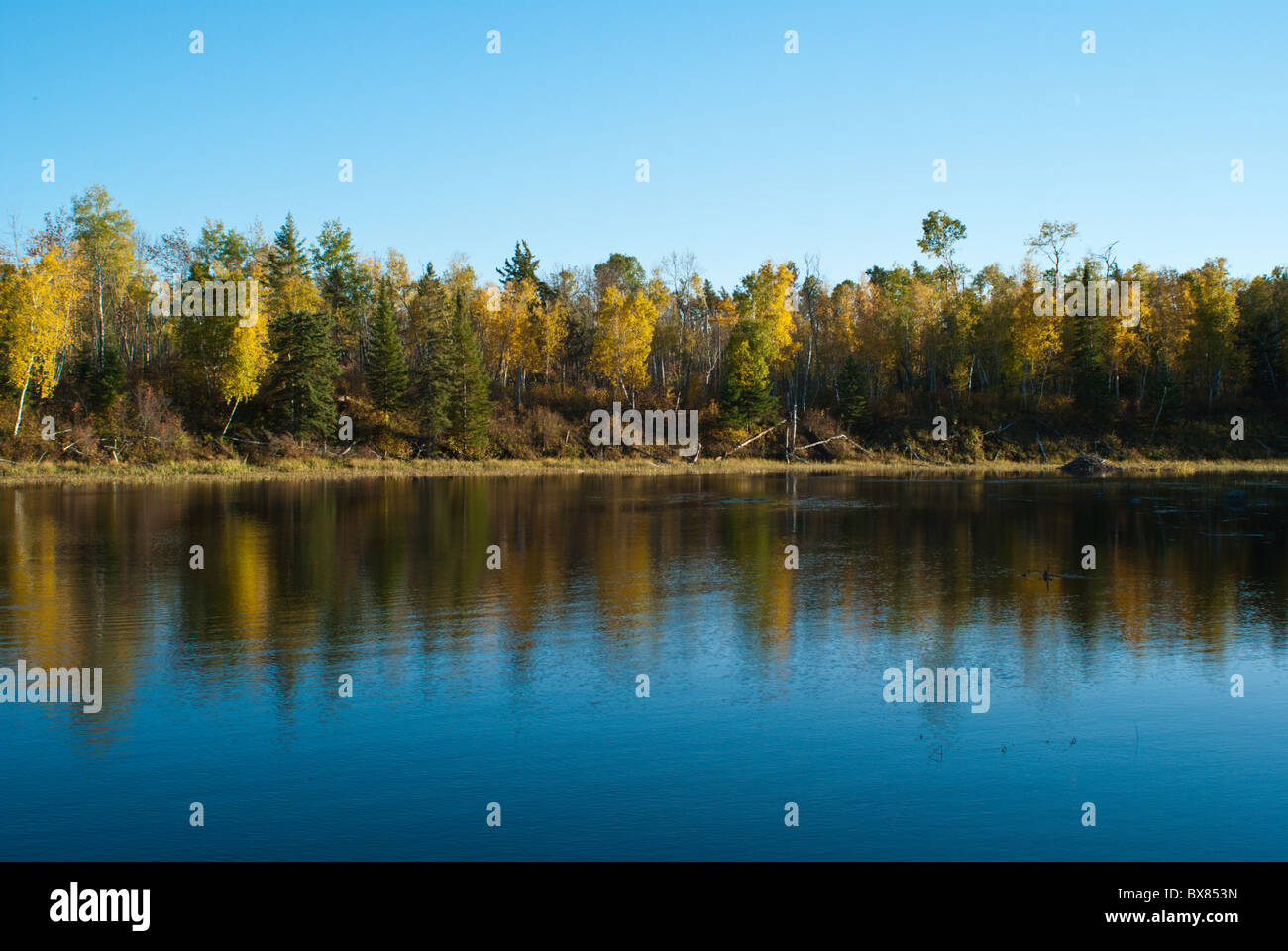 Whiteshell Manitoba Canada Stock Photo - Alamy