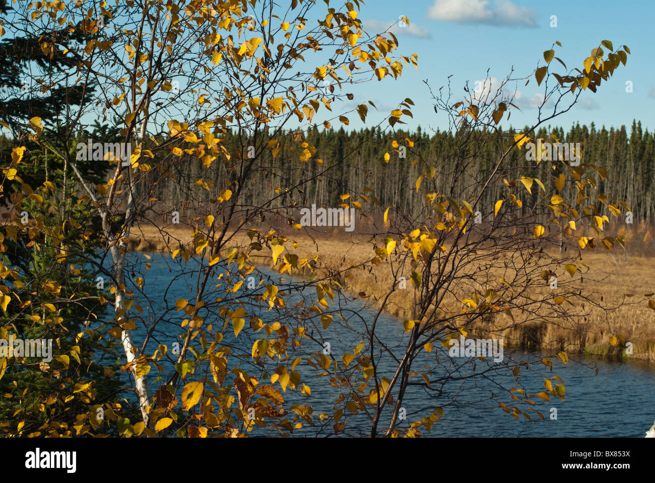 Whiteshell Manitoba Canada Stock Photo - Alamy