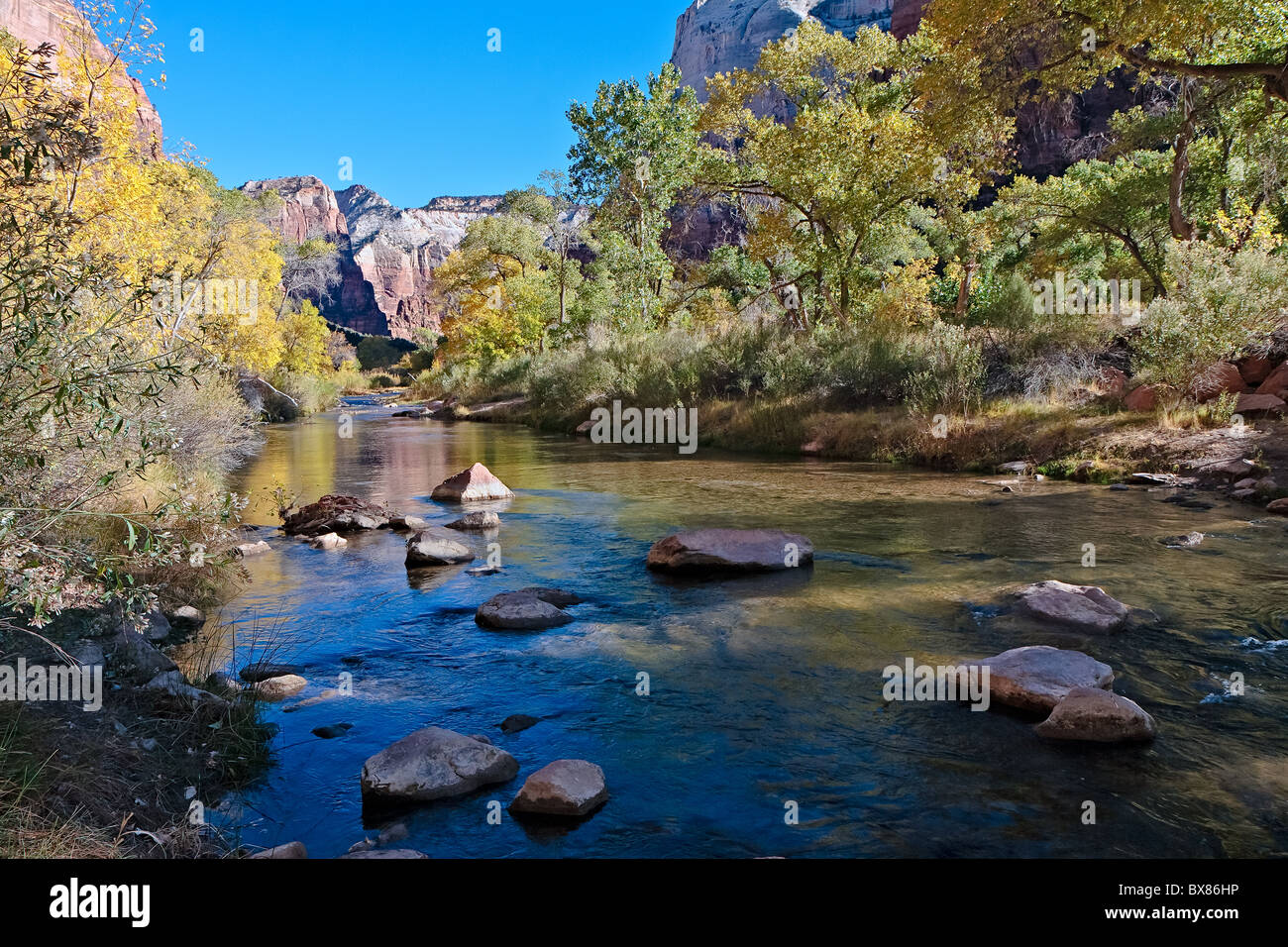 Zion National Park Utah autumn landscape virgin Stock Photo - Alamy