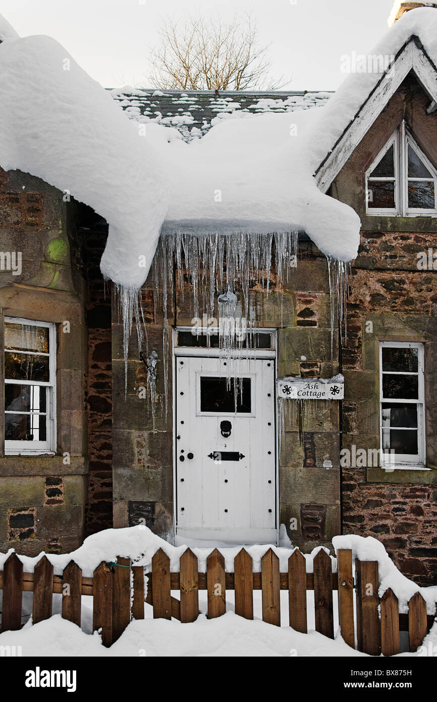 Longformacus hi-res stock photography and images - Alamy