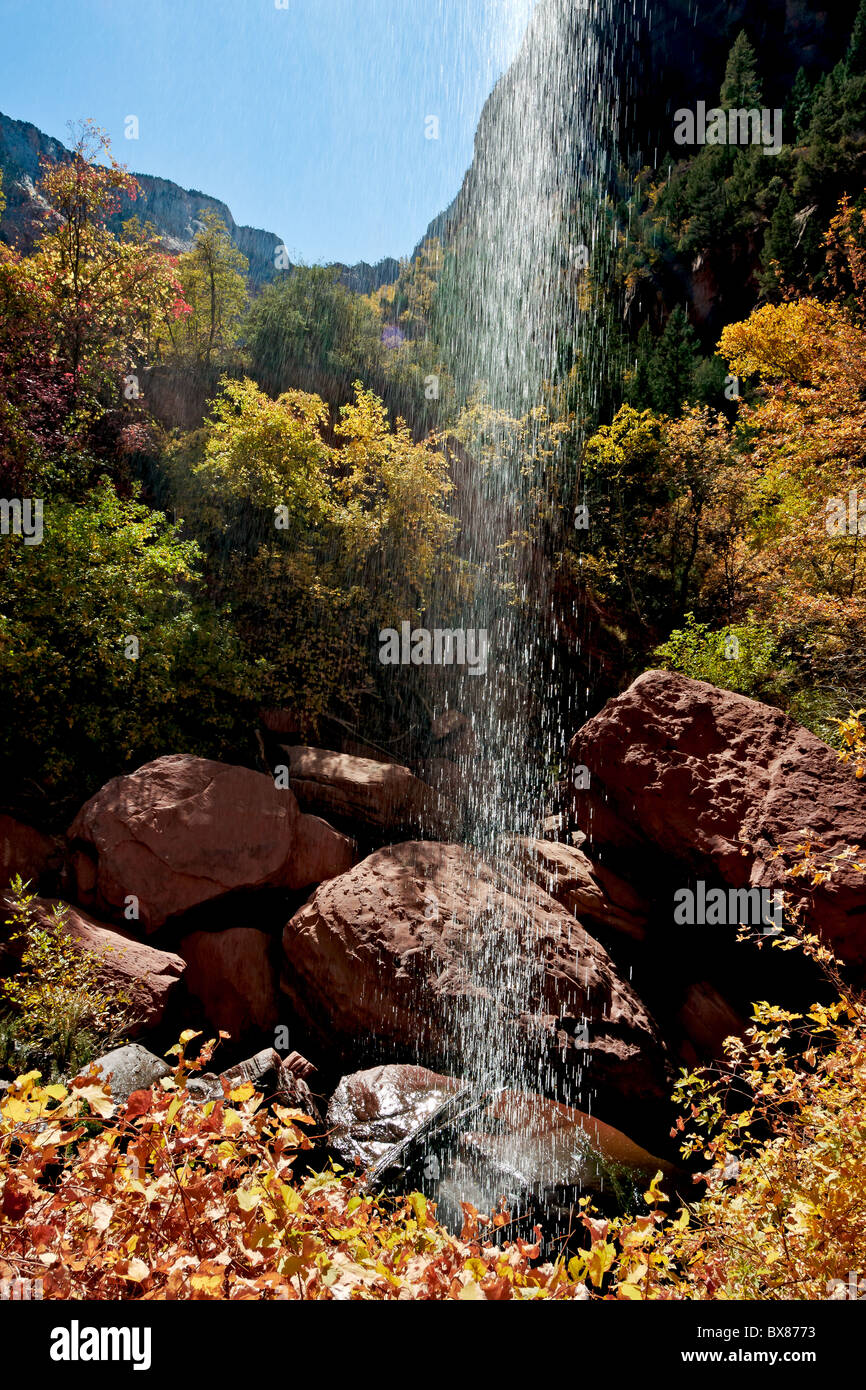 Zion national park autumn reflections hi-res stock photography and ...
