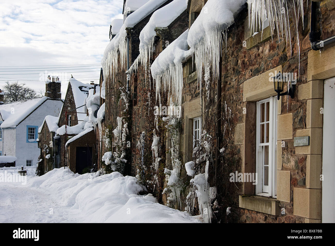 Longformacus hi-res stock photography and images - Alamy