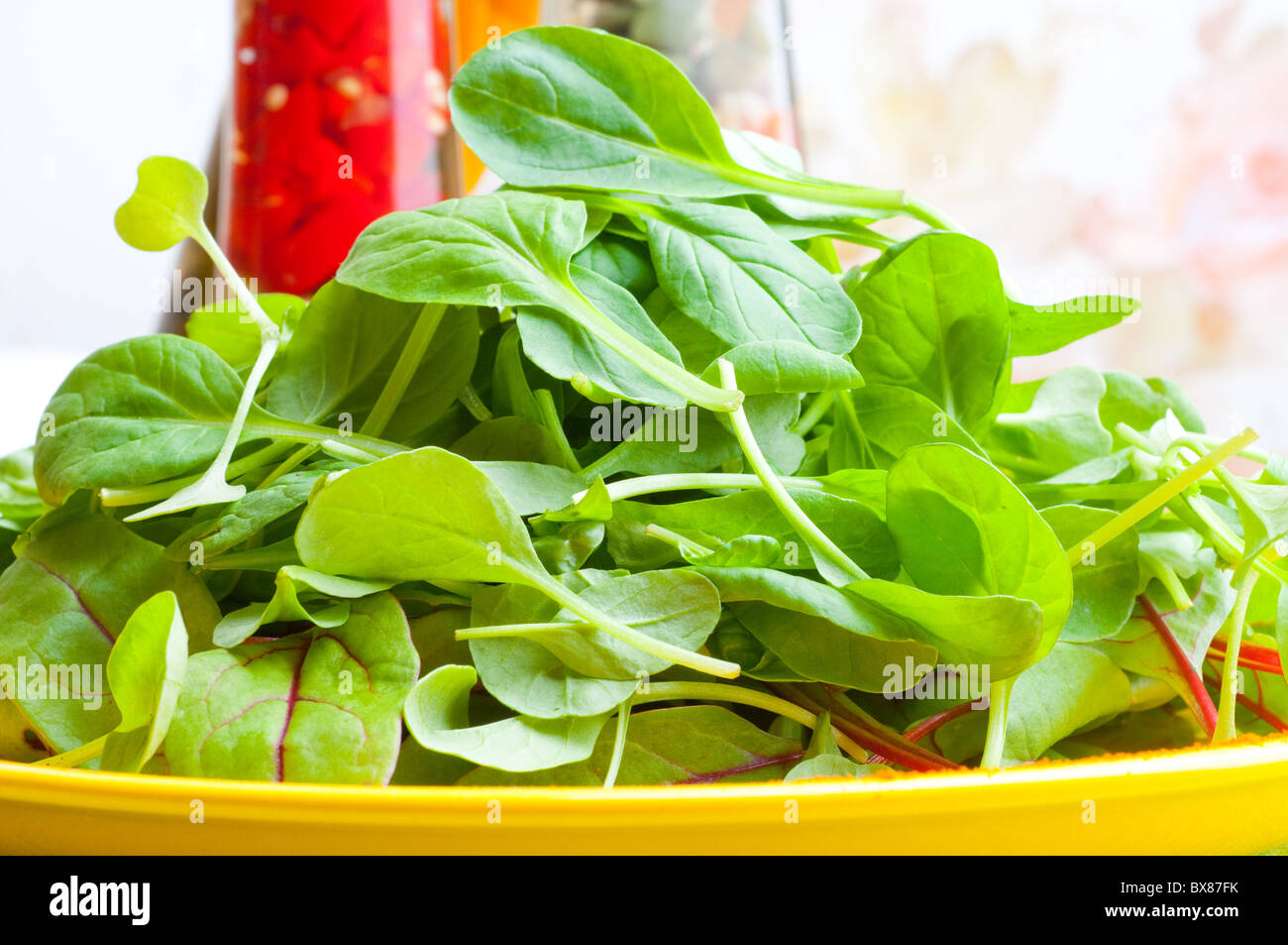 Organic Spring Mix green Lettuce Stock Photo - Alamy