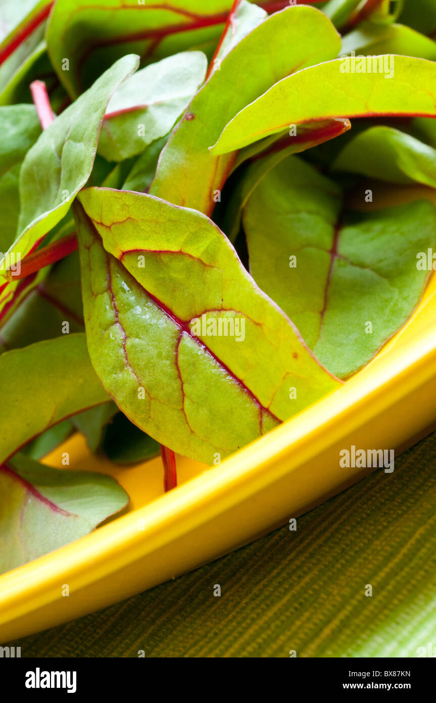 Organic Spring Mix green Lettuce Stock Photo - Alamy