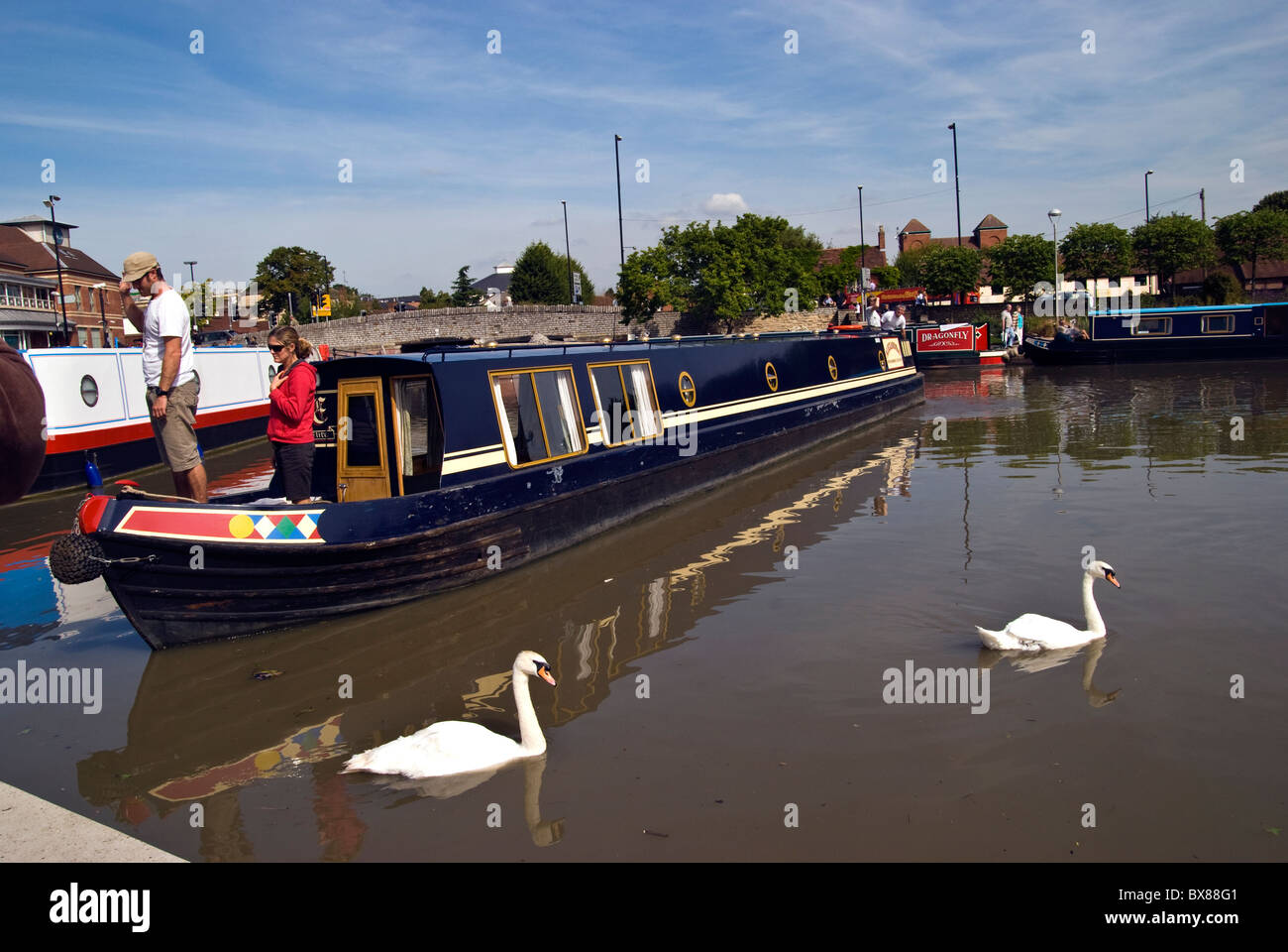 Swans on the canal Basin Stock Photo - Alamy