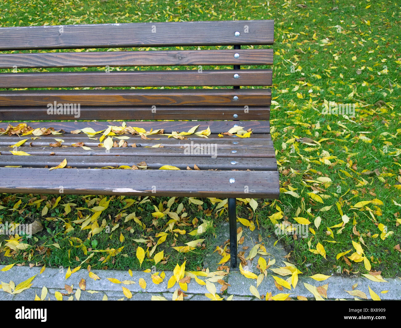 Empty park bench fall colors hi-res stock photography and images - Alamy