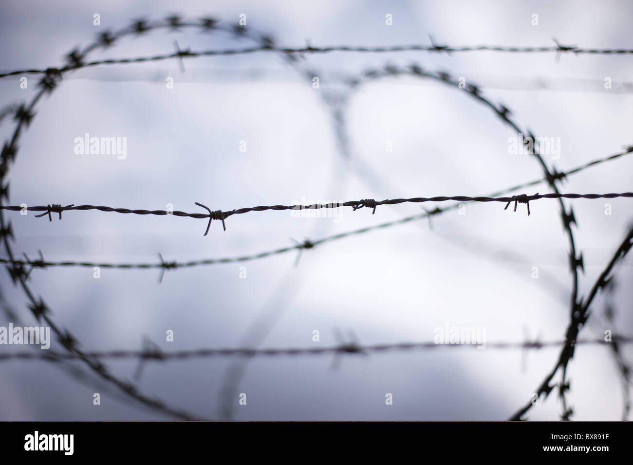 Heart barbed hi-res stock photography and images - Alamy
