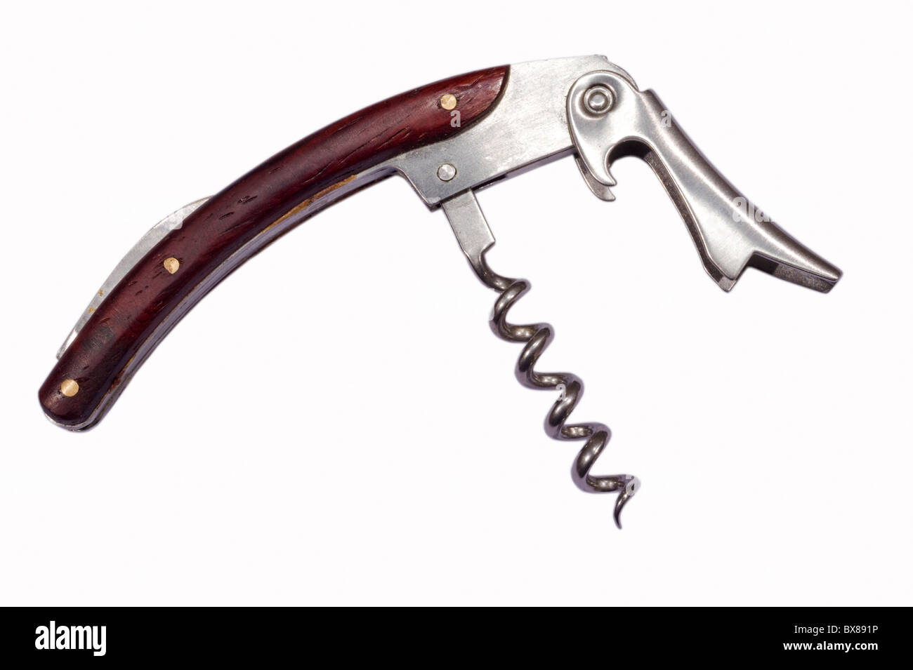 Corkscrew plant hi-res stock photography and images - Alamy