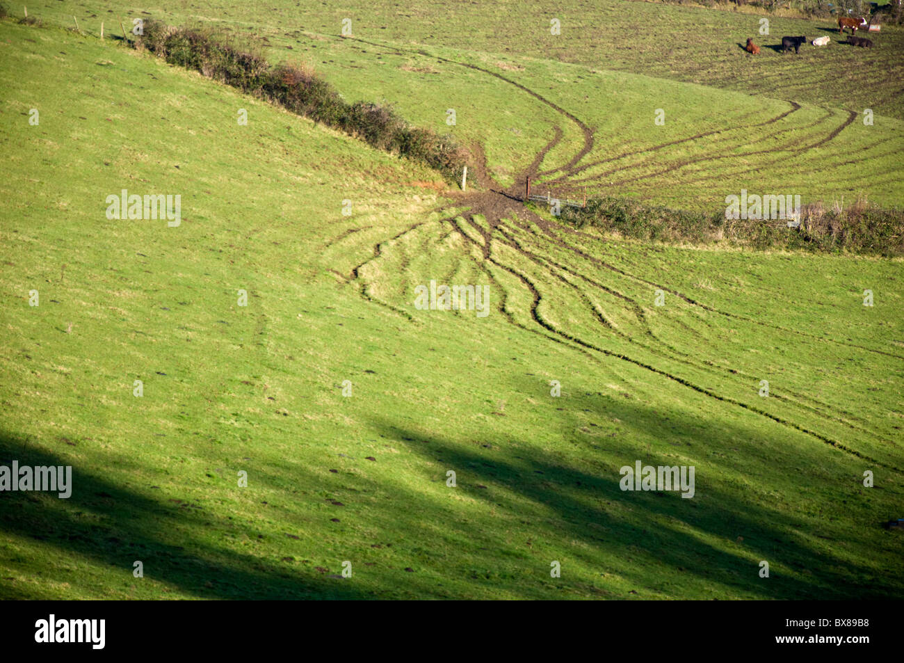 Going through the gate hi-res stock photography and images - Alamy